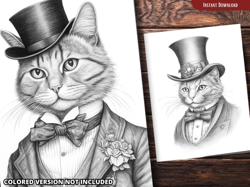 Gentleman Cat Coloring Pages for Adults and for Kids for Relax and ...