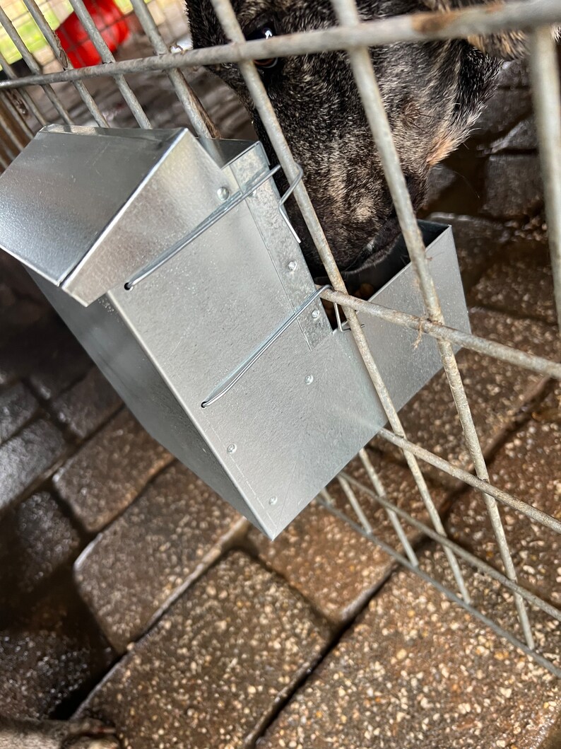 Automatic Galvanized Dog Feeder - Etsy