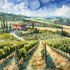 17 High Quality Summer Vineyard Designs, Watercolor Grape Field, French ...