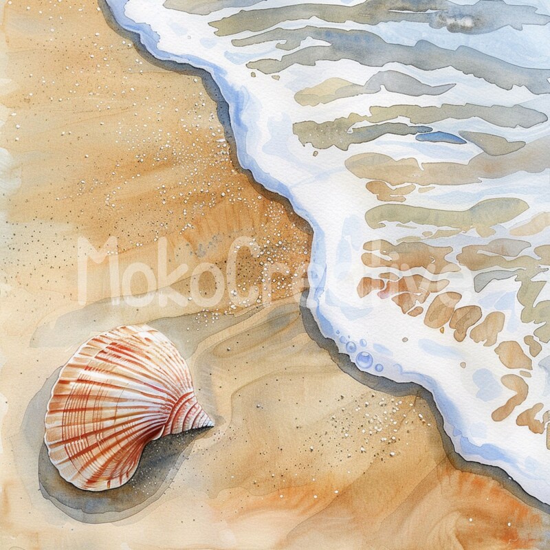 Sand Dollar Clip Art - Etsy