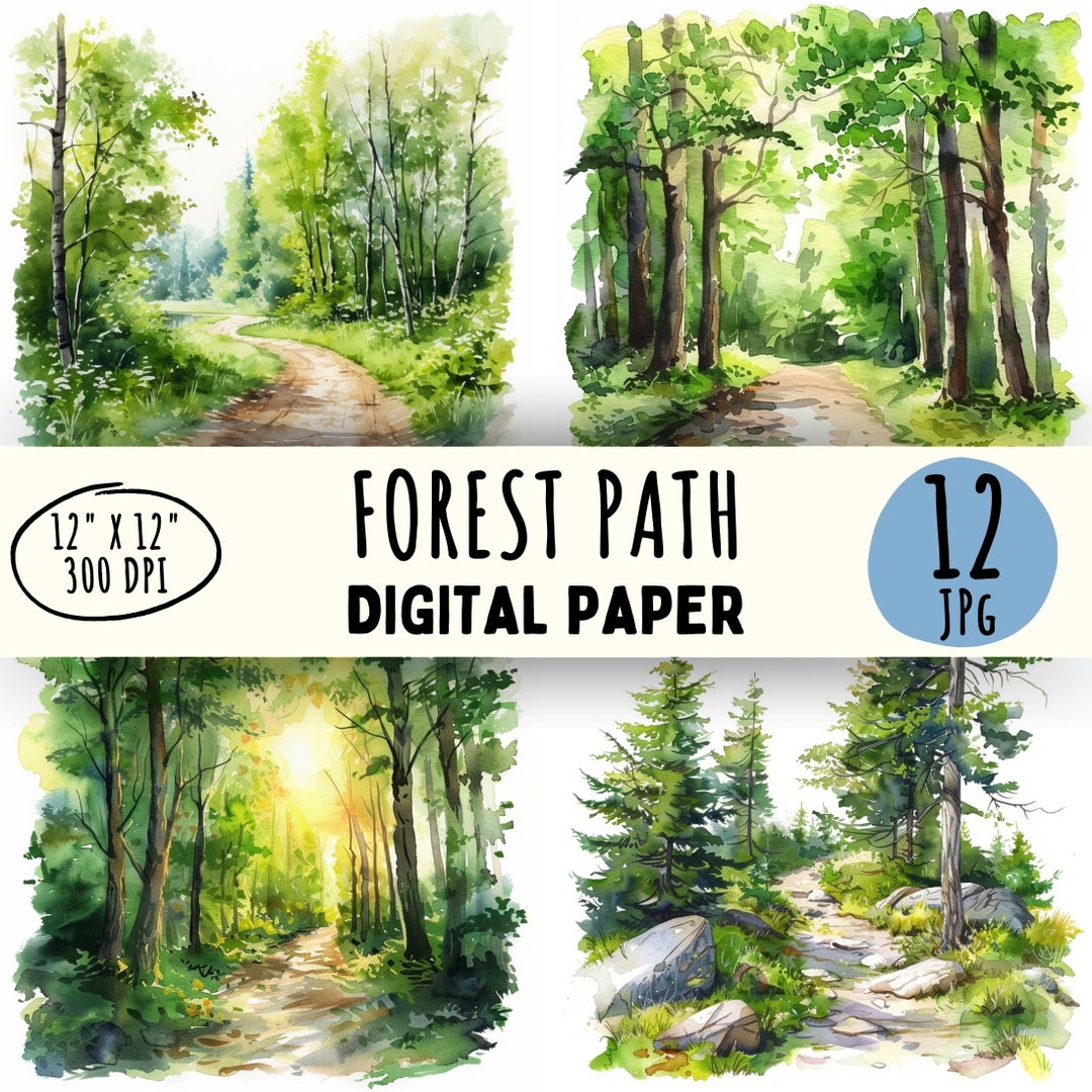 12 High Quality Forest Path Designs JPG, Watercolor Summer Forest Walk ...