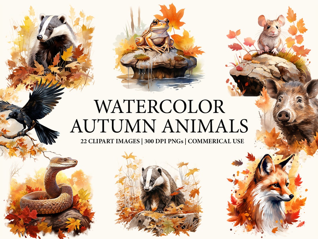 Autumn Animal Clipart Bundle 22 Pngs Fall Images Woodland, Watercolor ...
