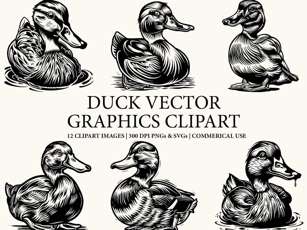 Duck Vector Graphics Clipart Bundle 12 Pngs/svgs Images, Graphics, Art ...