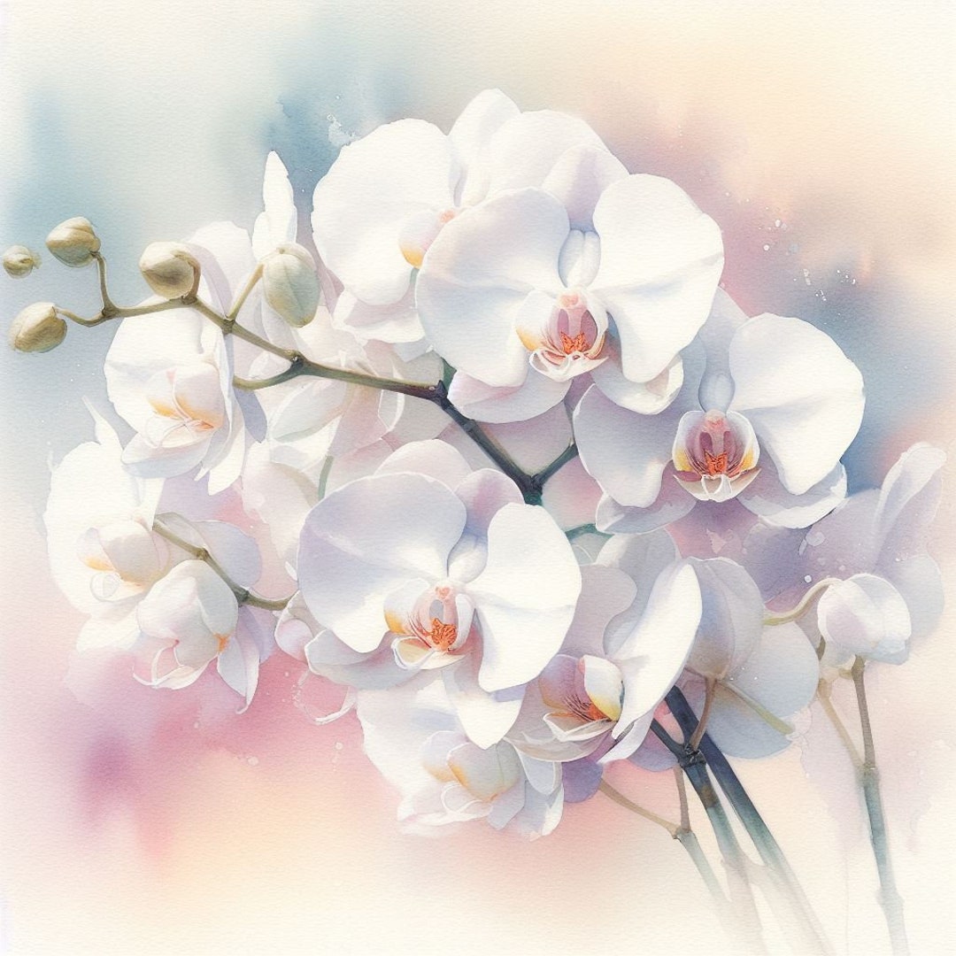 PDF Flower White Orchid Counted Cross Stitch Pattern Digital X-stitch ...