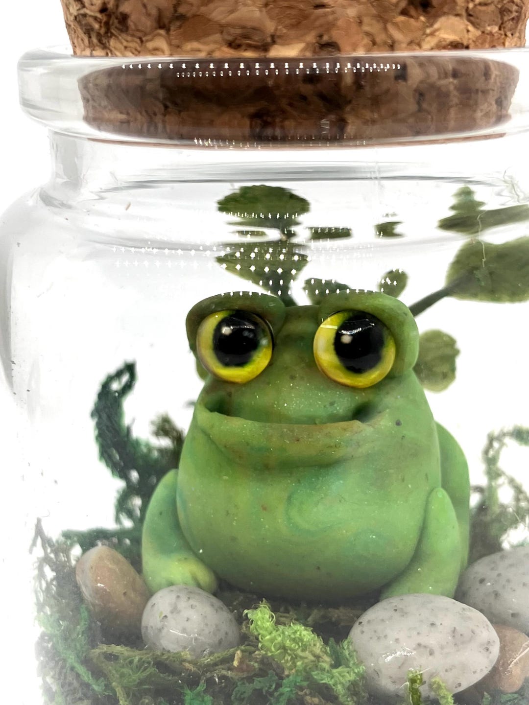 Bullfrog Trollfling in a Terrarium Jar by Amber Matthies - Etsy