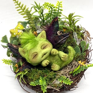 Sleeping Goblin Fairy Dragon Trollfling “ethan” in a Forest Nest by ...