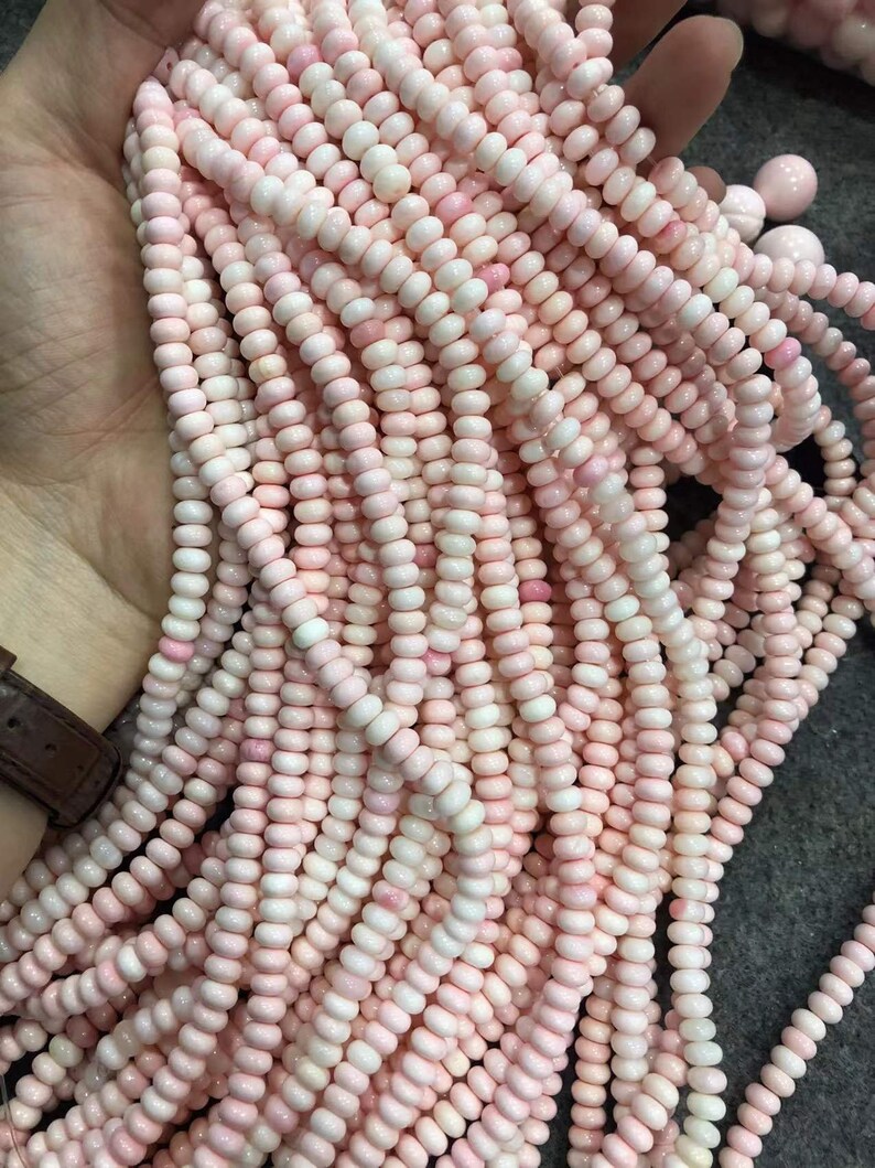 Genuine Queen Conch, 8x5mm Natural Pink Queen Conch Shell Smooth ...