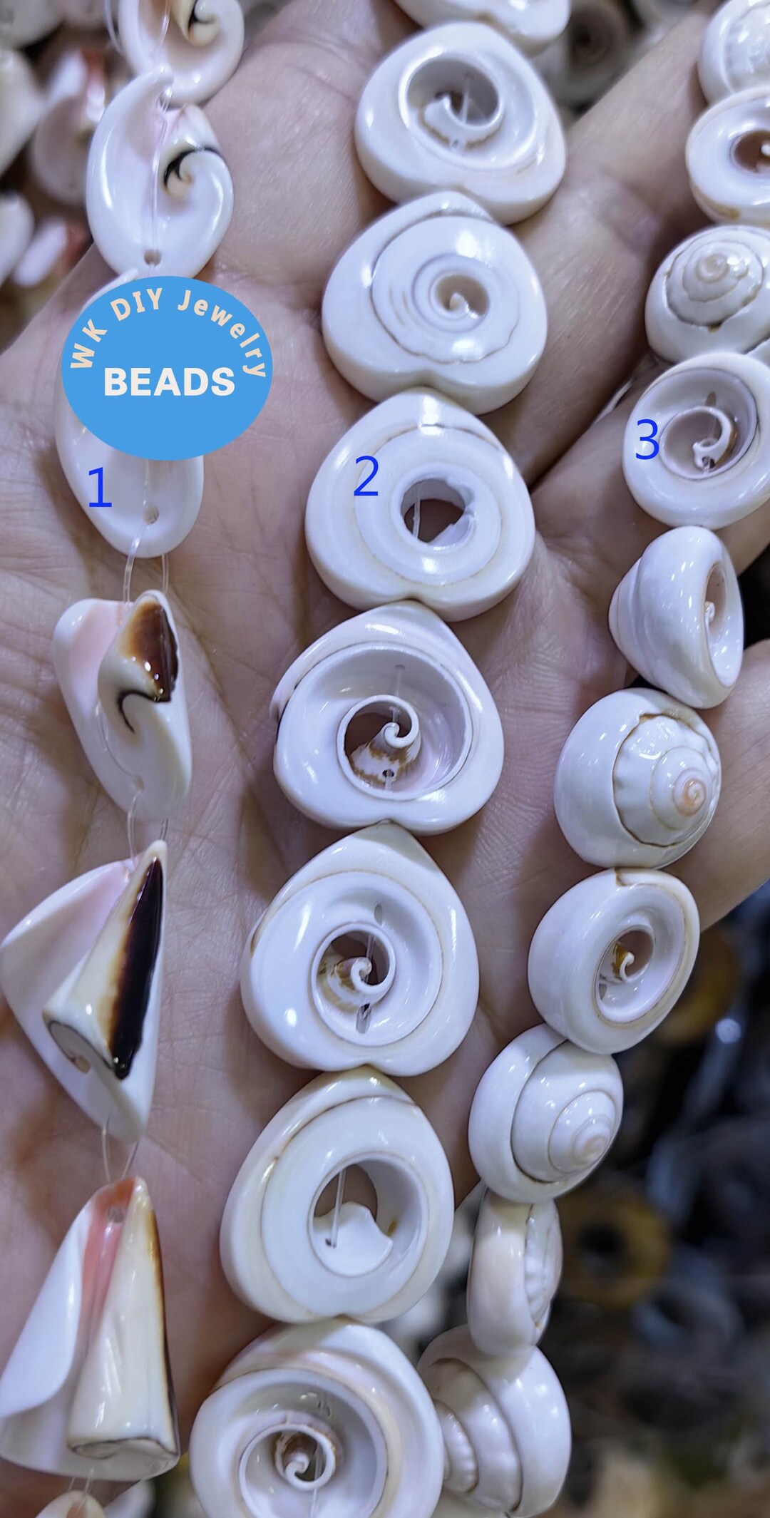 16" Strand Strawberry Strombus Shells: Strawberry Conch Seashell Slices ...