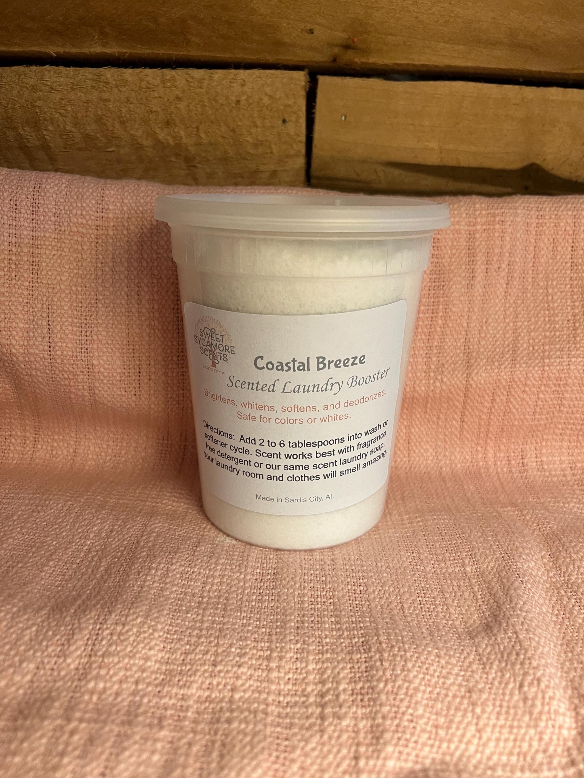 Scented Laundry Booster 32 Oz - Etsy