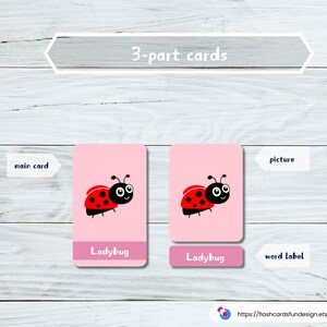 15 Spring Flashcards: Montessori Educational, Materials for Preschool ...