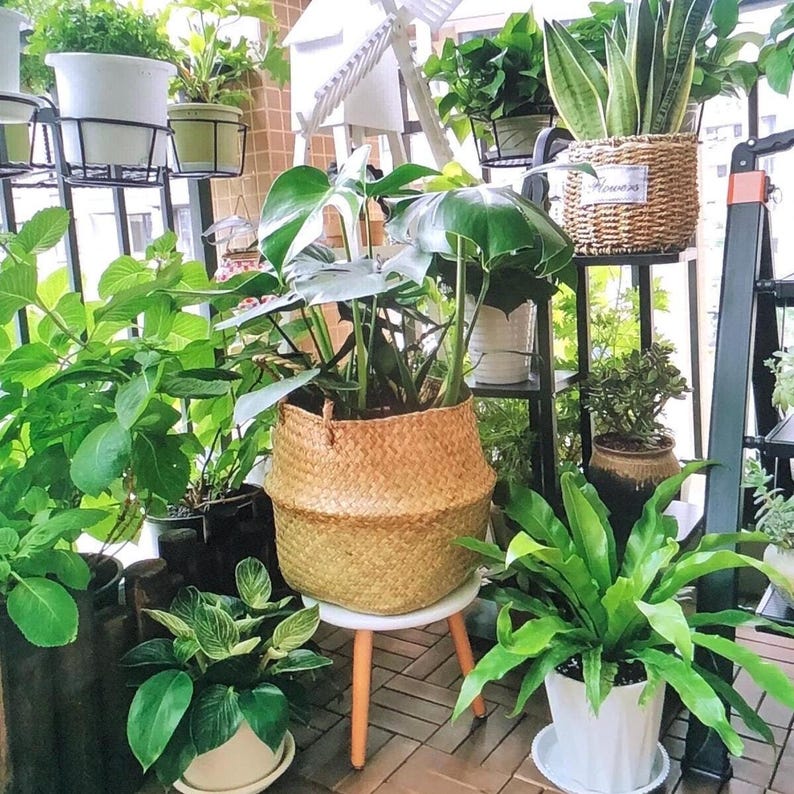 Seagrass Belly Basket Planter for Plantsman,indoor Planter Bohemian ...