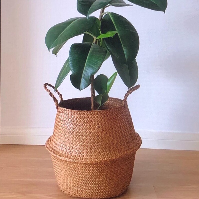 Seagrass Belly Basket Planter for Plantsman,indoor Planter Bohemian ...