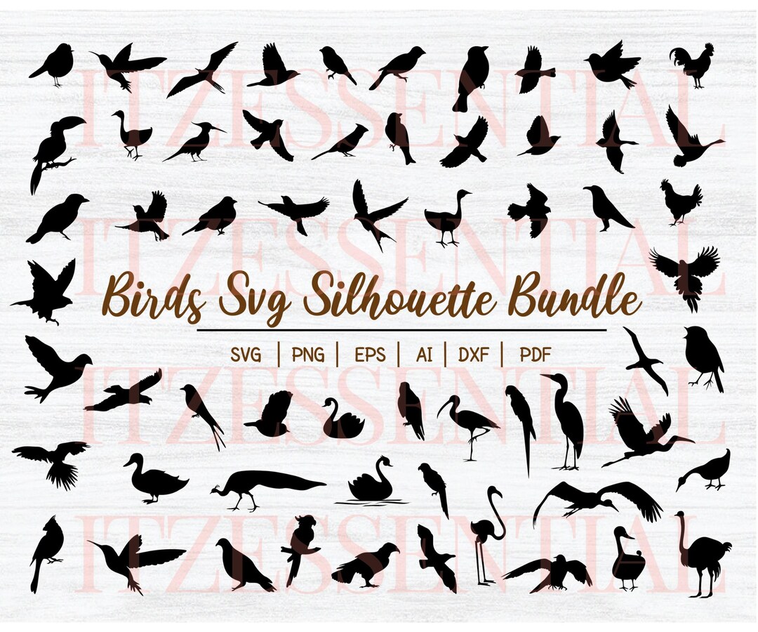 Bird Svg Bundle 60 Different Birds Dxf Eps Png Cut File Sublimation ...