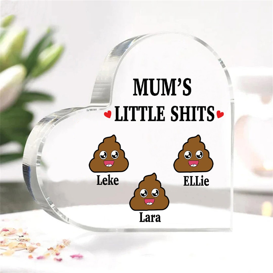 Mummys Little Shits Acrylic Keepsake Block,personalized Funny Gift for ...