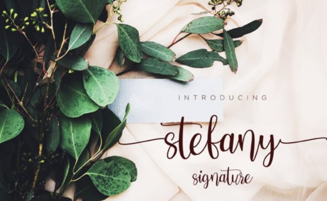 Stefany Font, Font With Tails, Handwritten Font, Fancy Font, Cricut ...