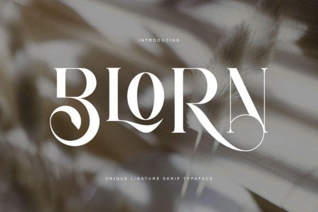 Blorn Font, Modern Classic Font, Handwritten Font, Personal Display ...