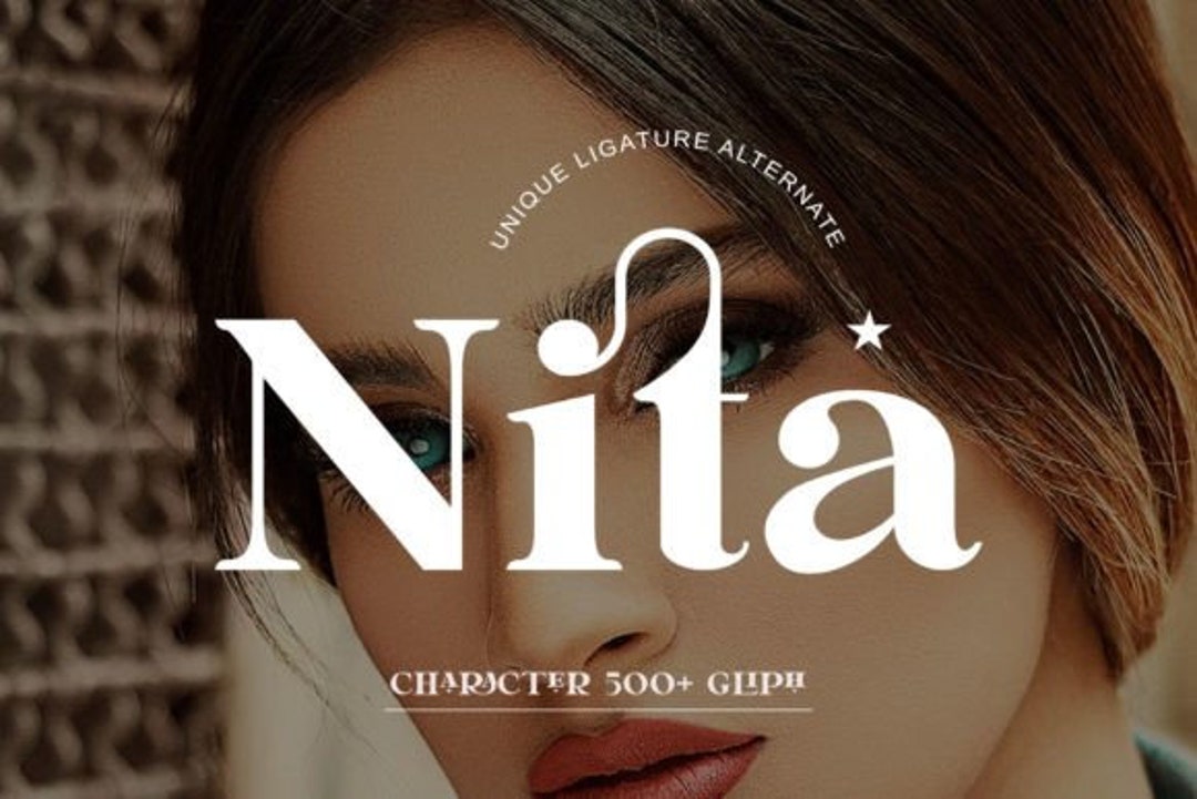 Nita Font, Modern Classic Font, Handwritten Font, Personal Display Font ...