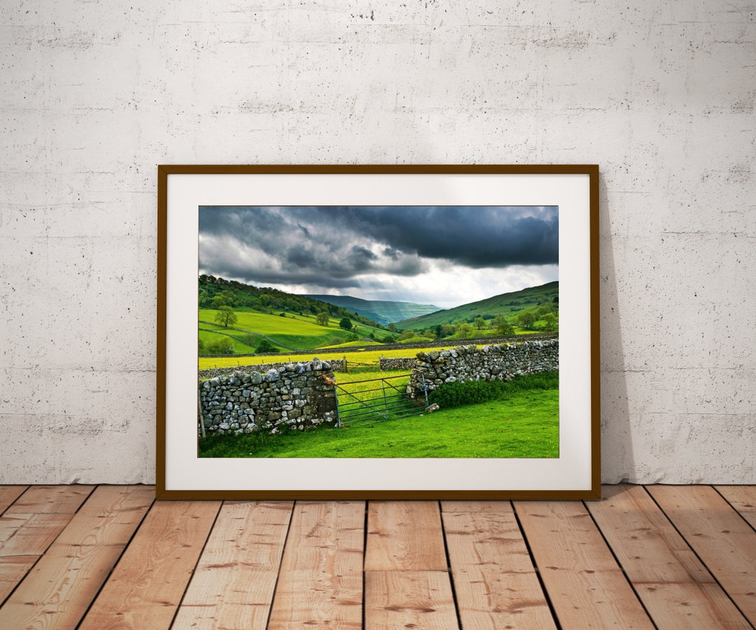 Hubberholme Buttercups Yorkshire Dales Landscape Photography ...