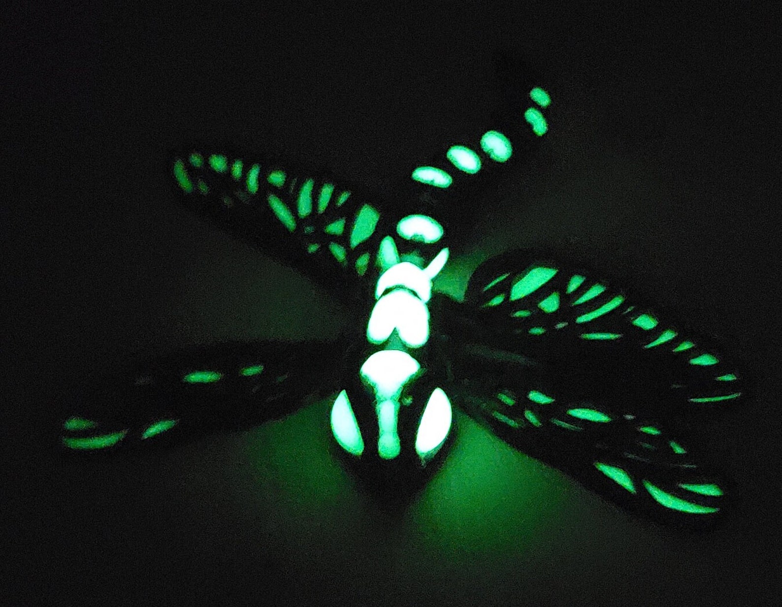 3D Printed Dragonfly| Glow in the Dark| Articulating Fidget Toy| Great ...