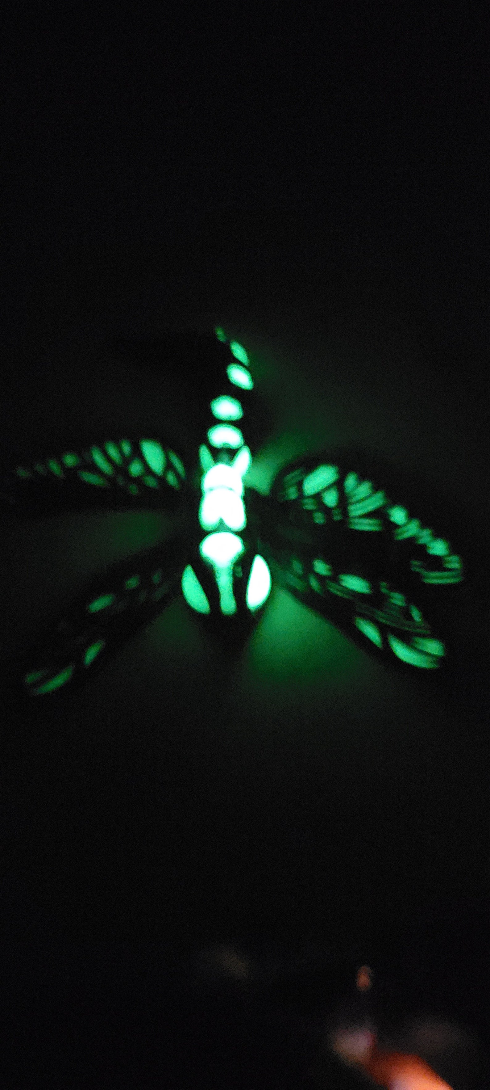 3D Printed Dragonfly| Glow in the Dark| Articulating Fidget Toy| Great ...