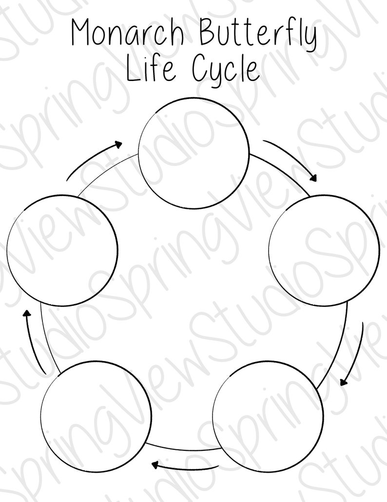 Printable Montessori Monarch Butterfly Life Cycle Activity - Hand ...