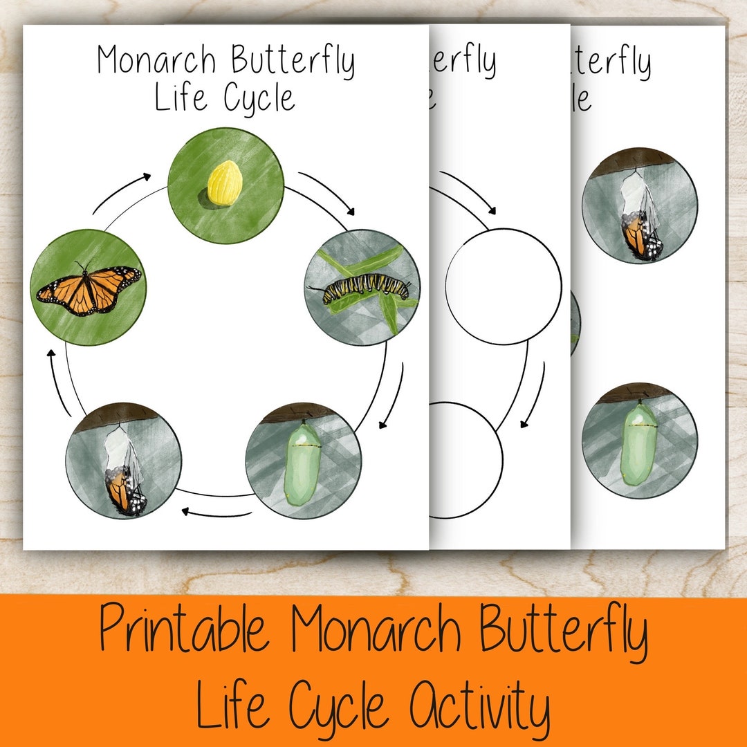Printable Montessori Monarch Butterfly Life Cycle Activity - Hand ...