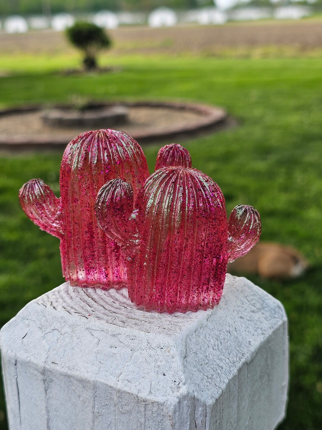 Cactus Couple Made With Epoxy Resin set-pair Pink and Green/gold ...