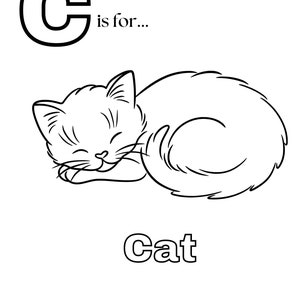 Babys First Alphabet Book - Etsy