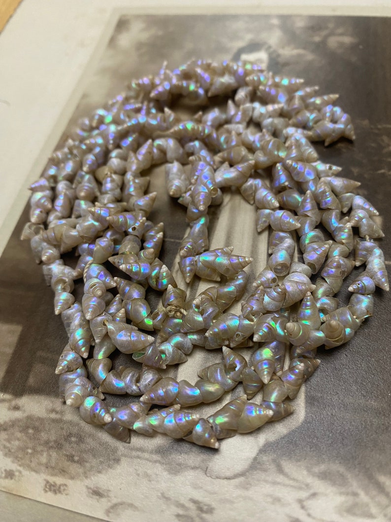 Vintage Art Deco Tasmanian Aboriginal Marineer Shell Necklace - Etsy