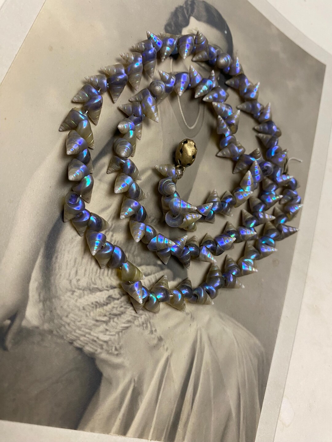 Art Deco Tasmanian Aboriginal Marineer Shell Necklace - Etsy