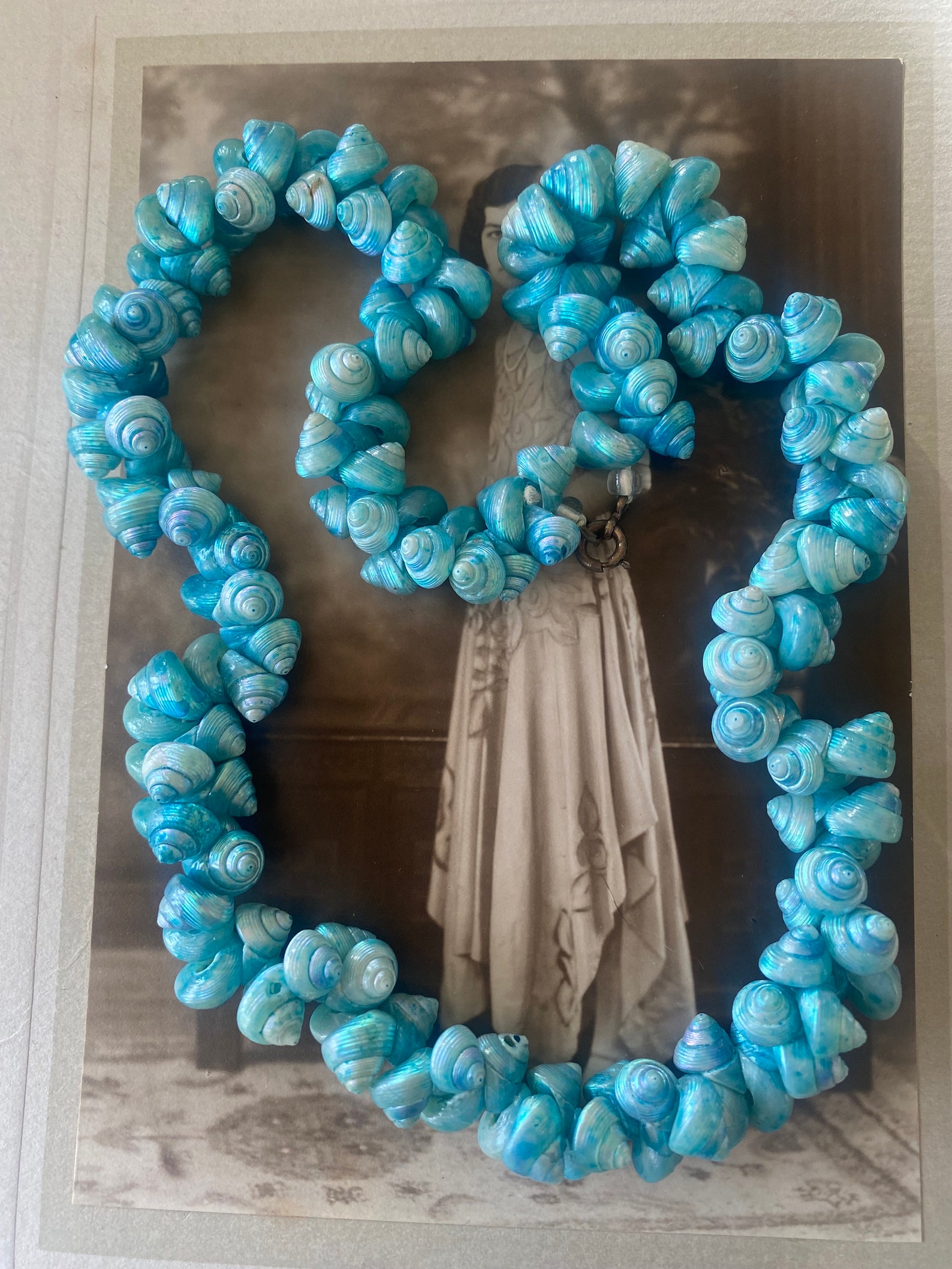Art Deco Vintage Tasmanian Aqua Blue Trochus Shell Necklace - Etsy