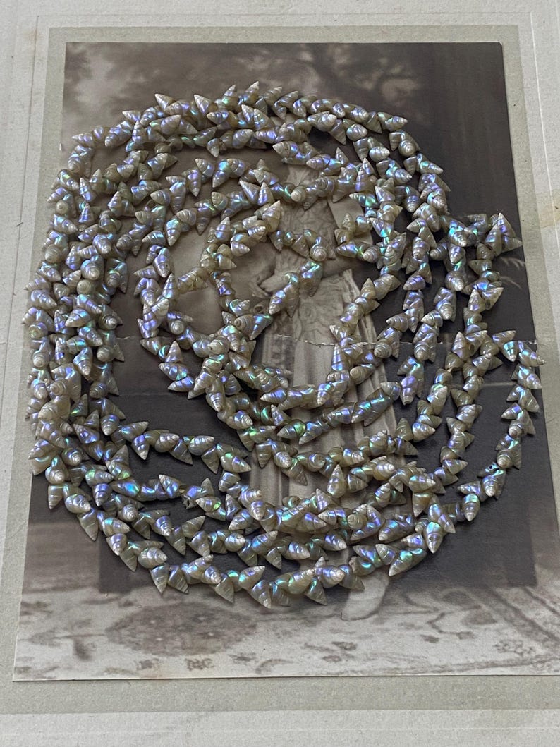 Vintage Art Deco Tasmanian Aboriginal Marineer Shell Necklace - Etsy