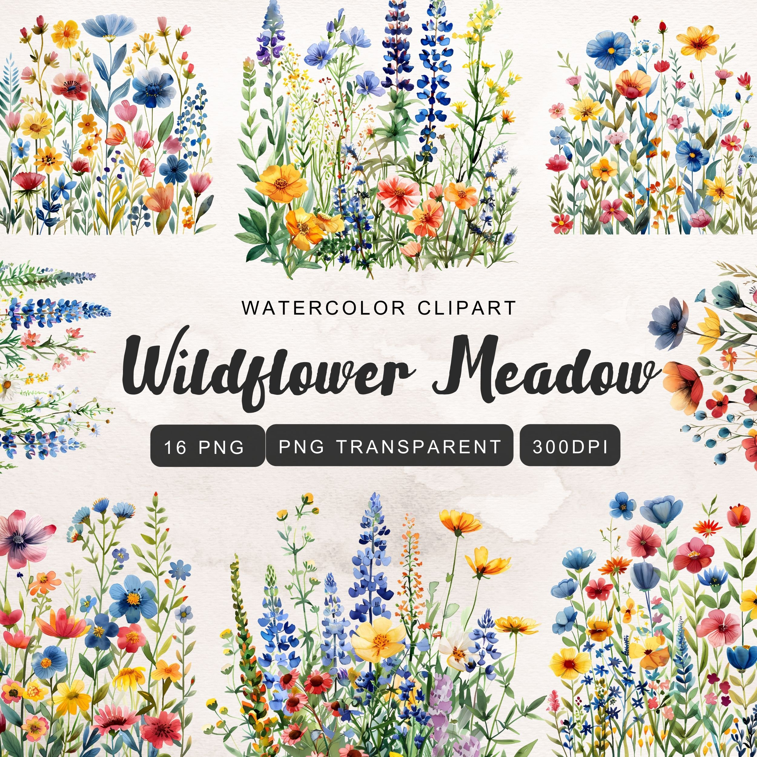 Wildflower Meadow Clipart Watercolor Floral Wildflower Clipart Summer ...