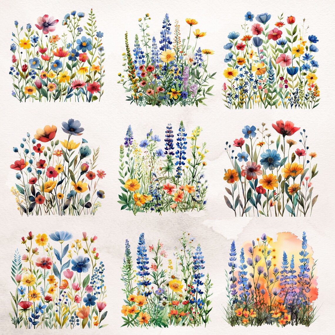 Wildflower Meadow Clipart Watercolor Floral Wildflower Clipart Summer ...