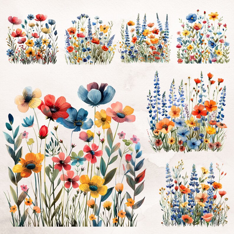 Wildflower Meadow Clipart Watercolor Floral Wildflower Clipart Summer ...