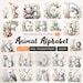 Animal Alphabet Clipart Bundle Watercolor Woodland Letters Png Doodle ...