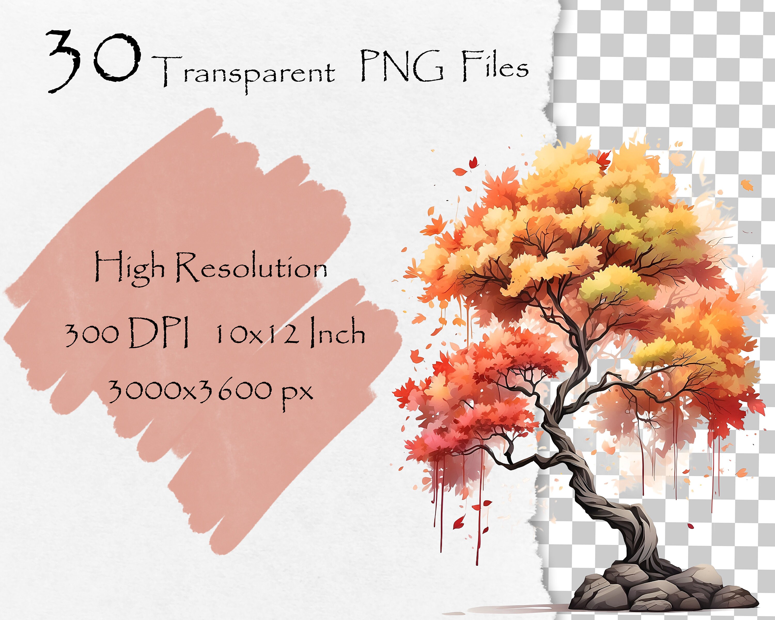 Watercolor Autumn Tree Clipart Set, Nature Fall Foliage, Seasonal ...