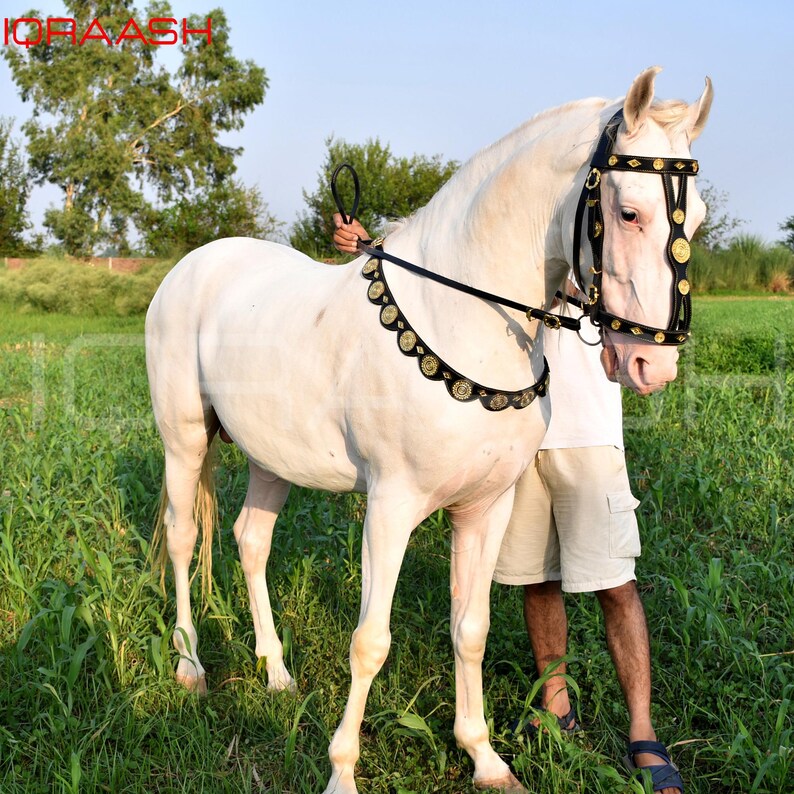 Fancy Horse Bridle Set Spanish-style Leather Bridle, Breast Collar, and ...
