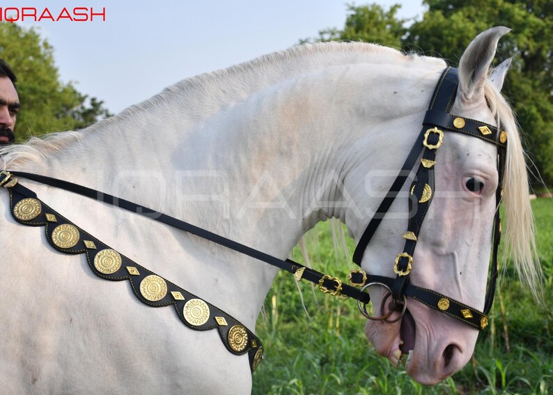 Fancy Horse Bridle Set Spanish-style Leather Bridle, Breast Collar, and ...