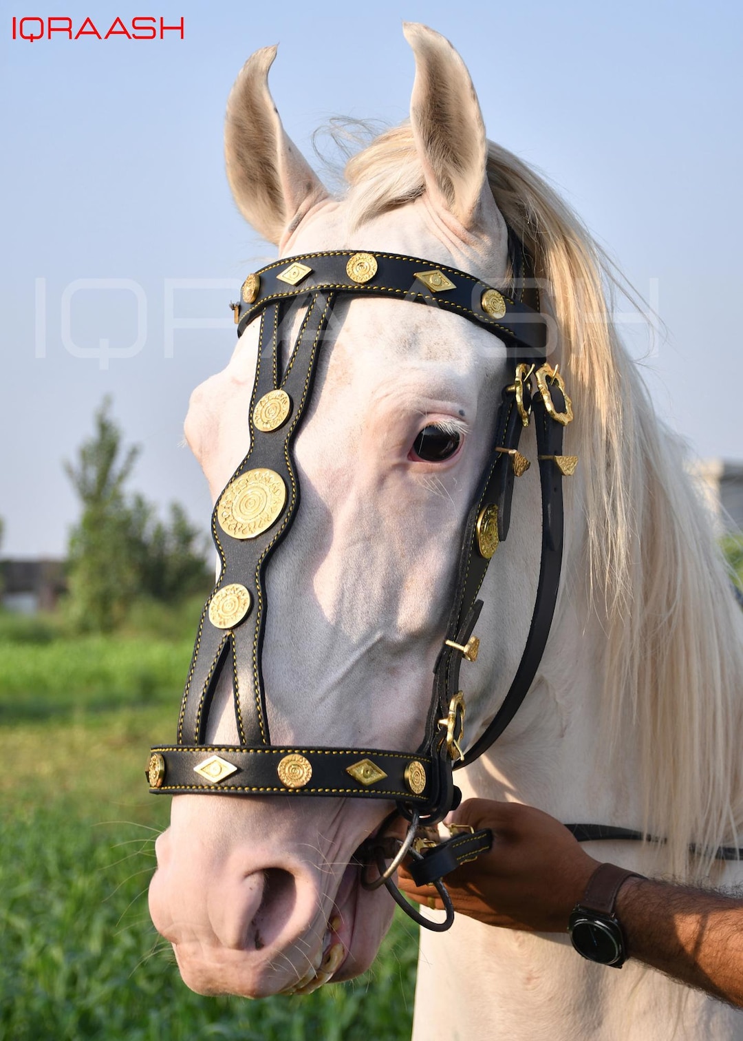 Fancy Horse Bridle Set Spanish-style Leather Bridle, Breast Collar, and ...