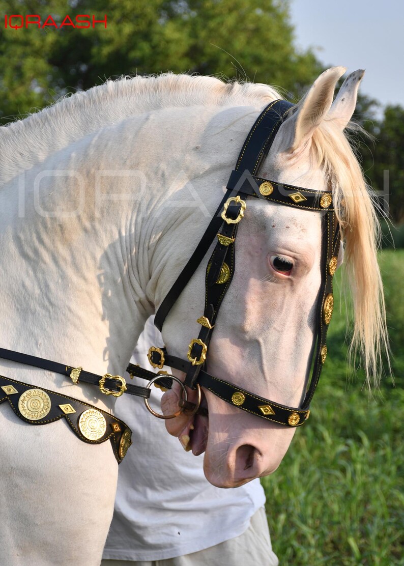 Fancy Horse Bridle Set Spanish-style Leather Bridle, Breast Collar, and ...