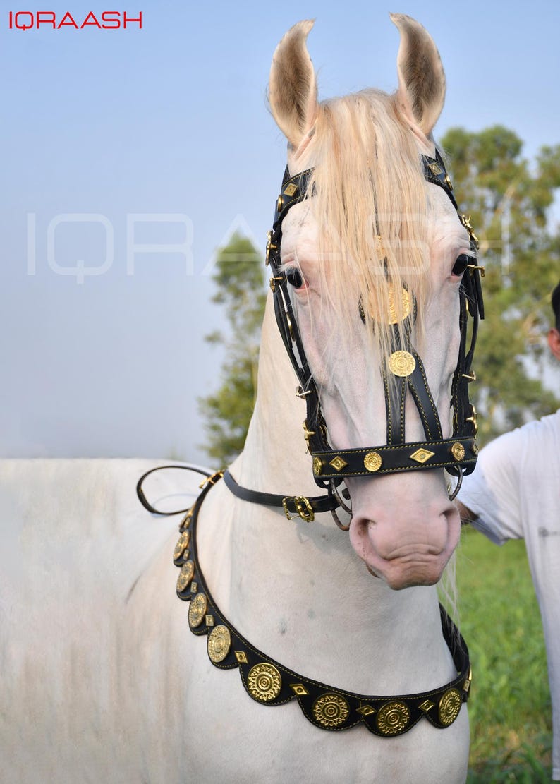 Fancy Horse Bridle Set Spanish-style Leather Bridle, Breast Collar, and ...