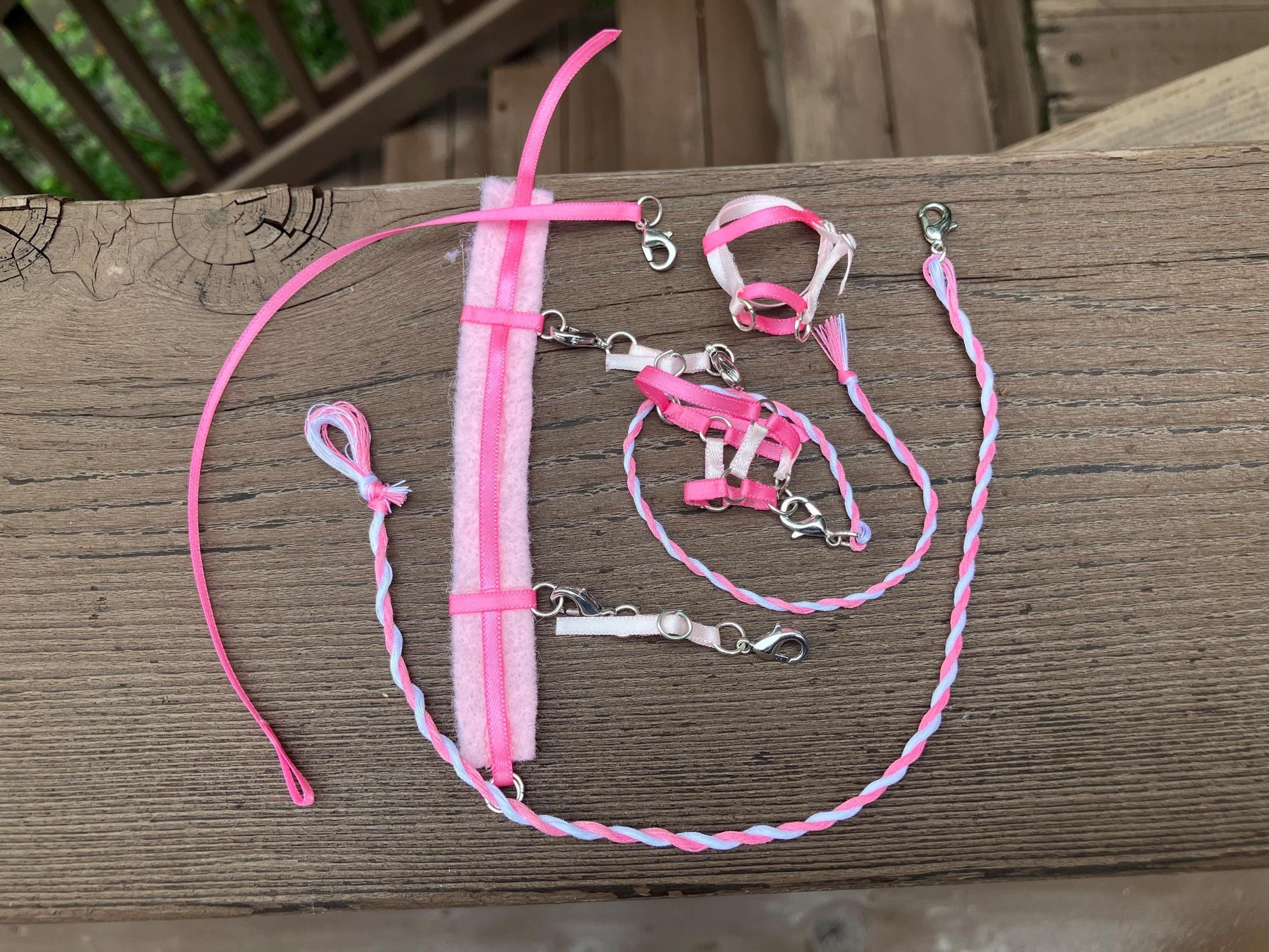 Schleich Lunging Set and Halter - Etsy