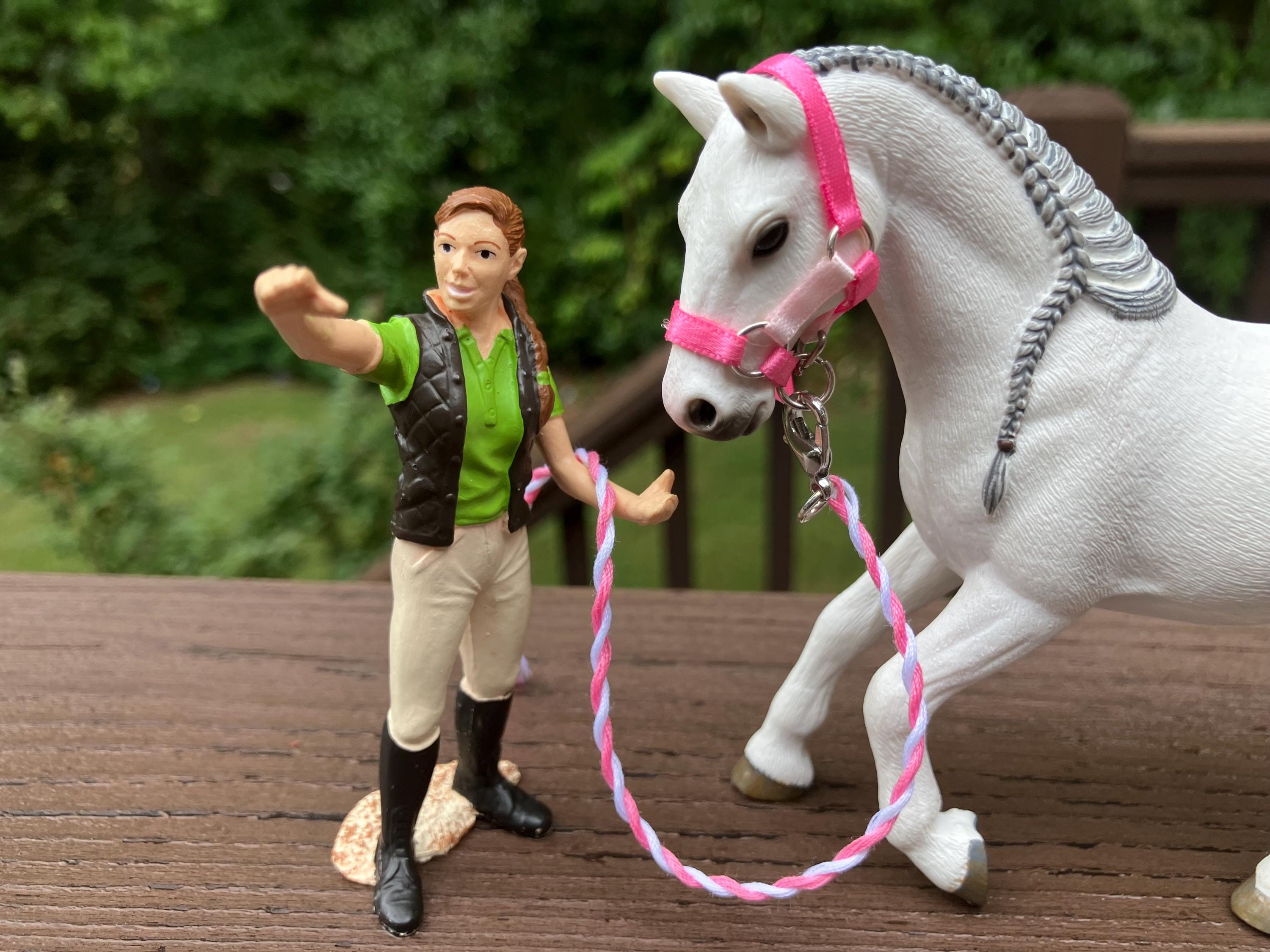 Schleich Lunging Set and Halter - Etsy