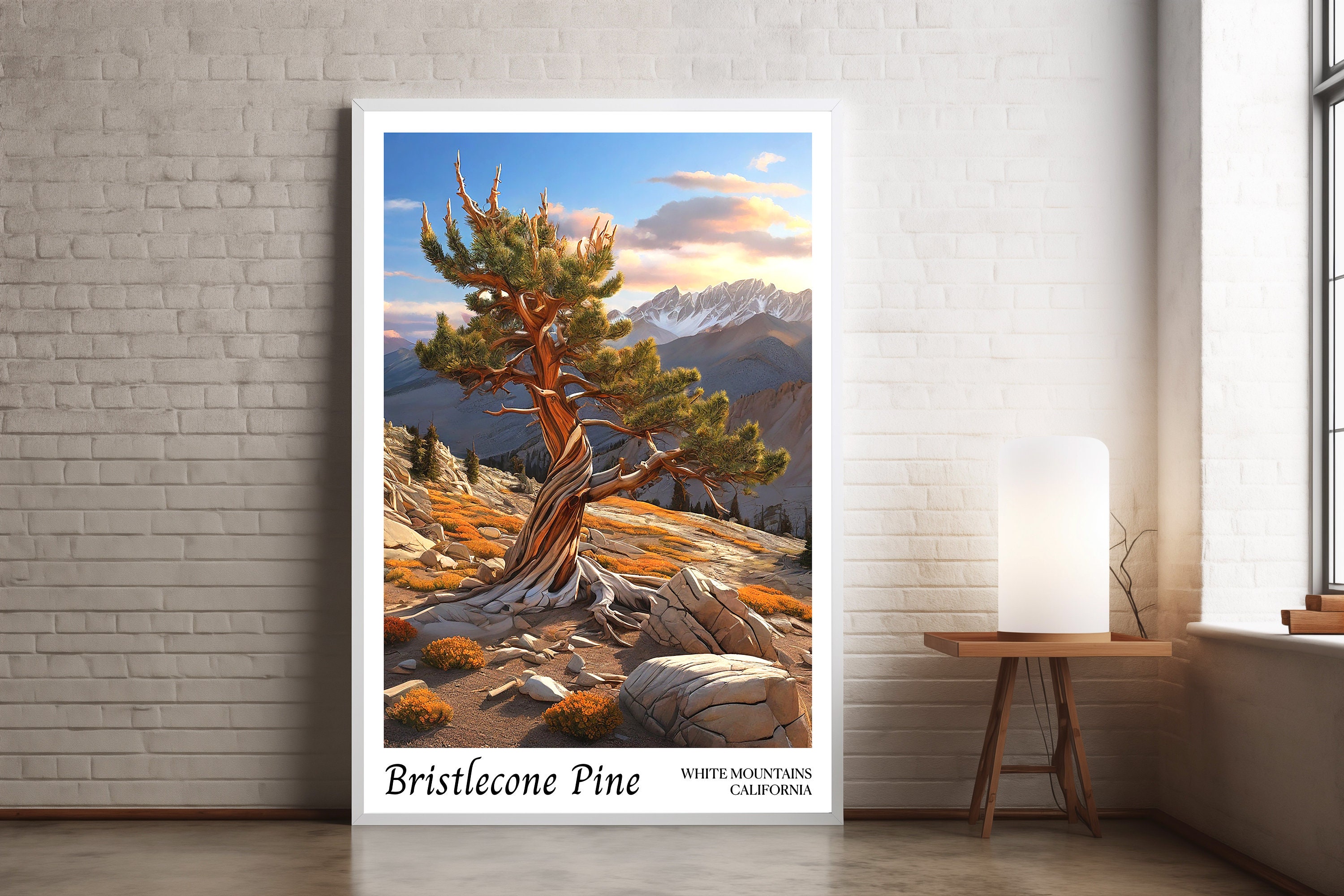 Bristlecone Pine Print Ancient Tree Art, White Mountains California ...