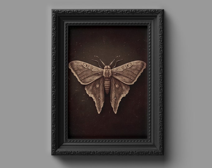 Large Moth Art Print, Giant Black Moth Art, Moth Wall Art, Moth Poster ...