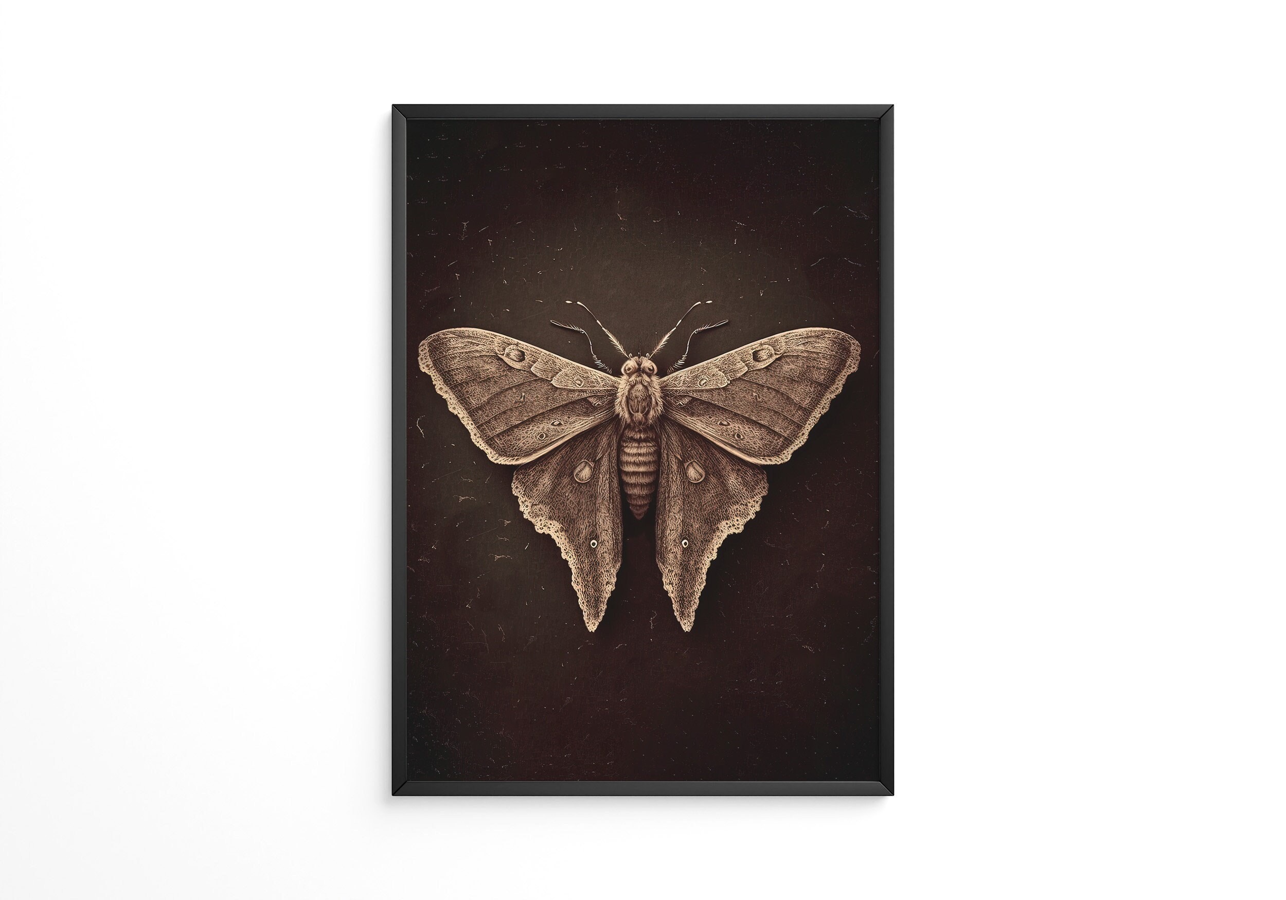 Vintage Moth Poster, Moth Poster, Gothic Poster, Gothic Moth Art, Dark ...