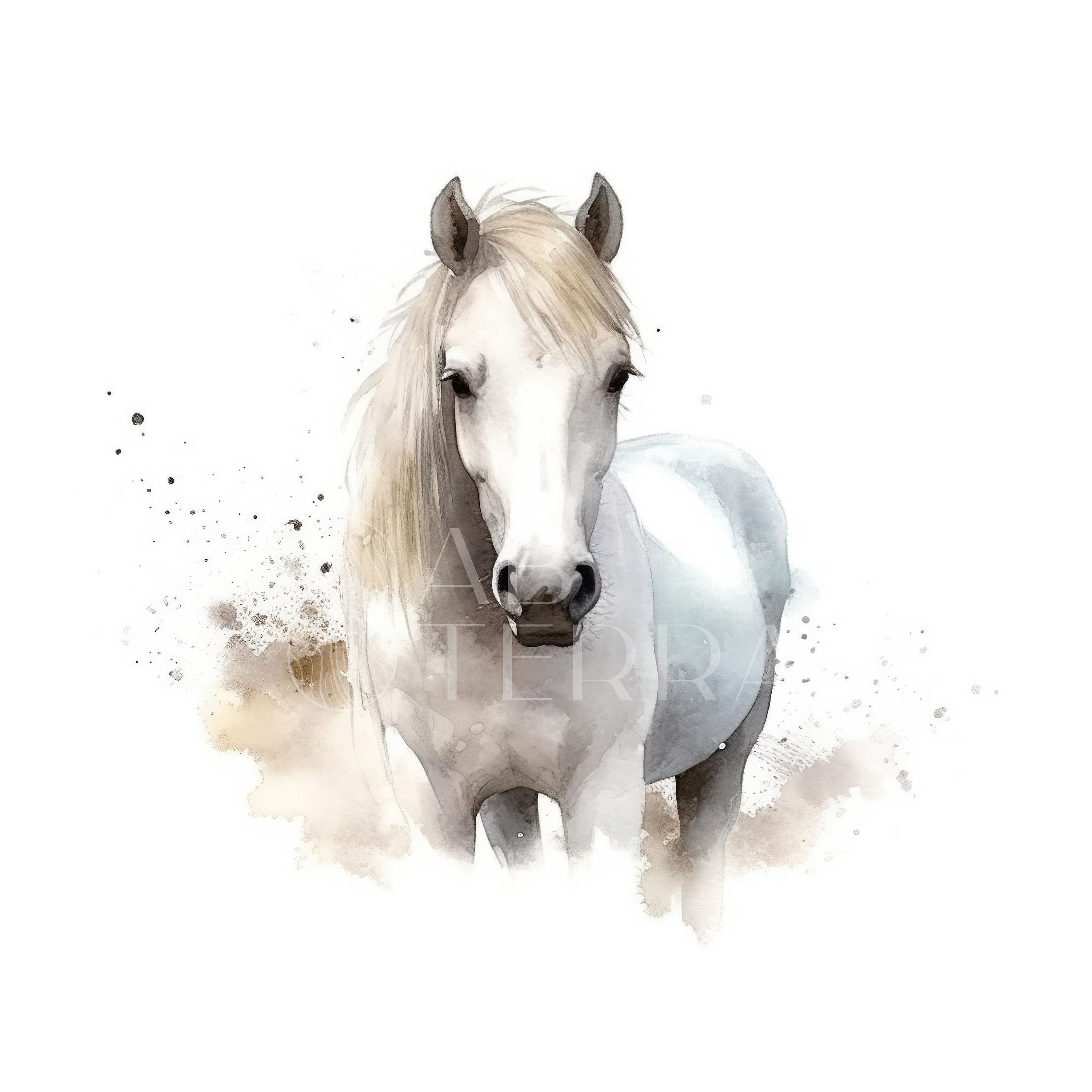 10 White Horse Watercolor Clipart Bundle, White Horse Clipart, Horse ...