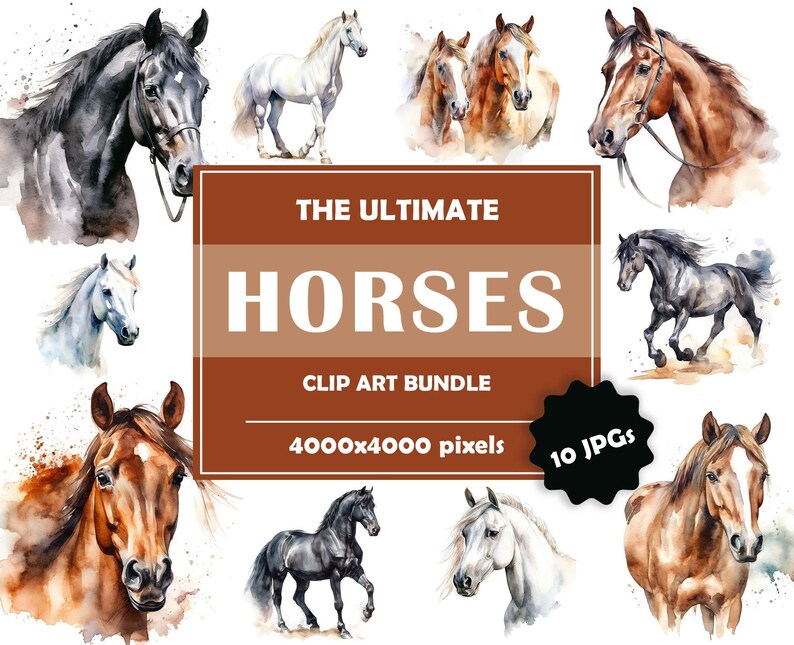 Horses Clip Art Bundle, Watercolor Horses Clip Art, Commercial Use ...