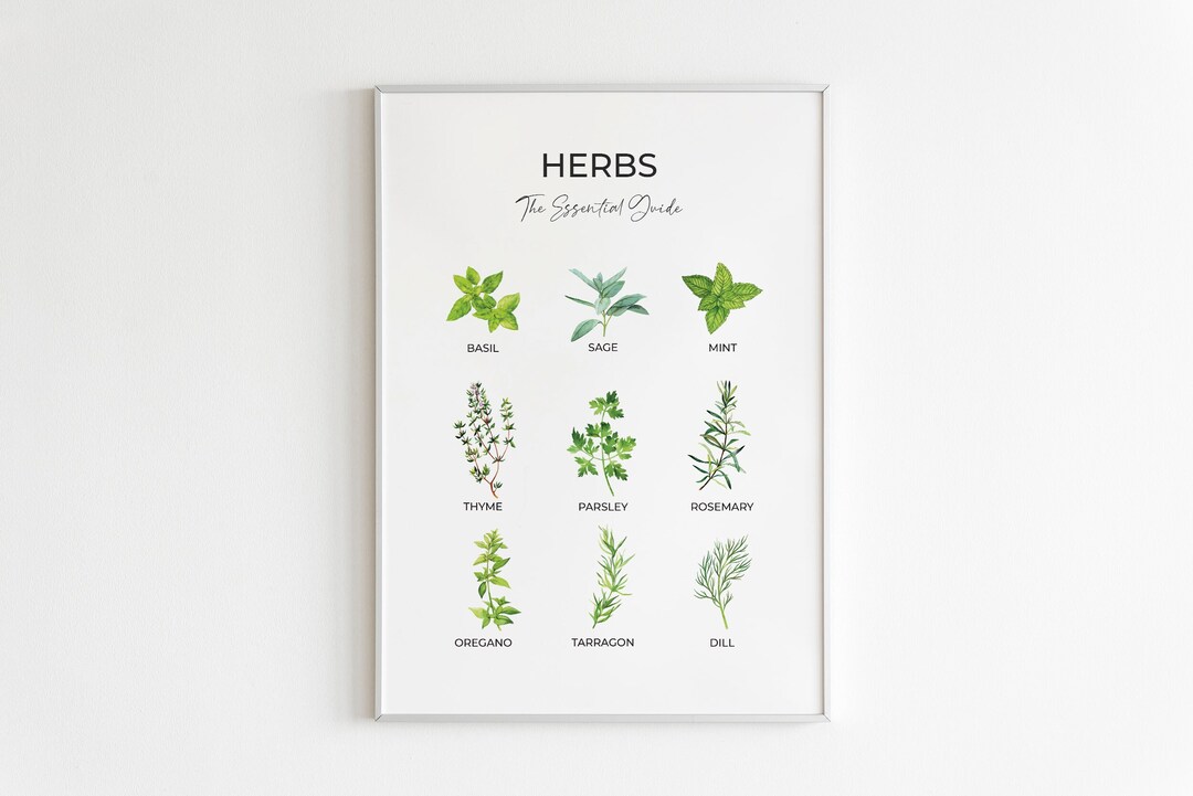 Herbs Types Poster, Aromatic Herbs Print, Culinary Herbs Print, Kitchen ...